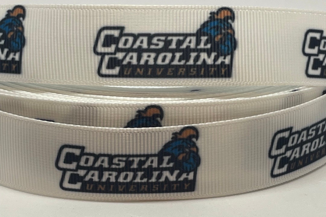 College Inspired Ribbon. 7/8-inch Grosgrain Ribbon College Ribbon - Etsy