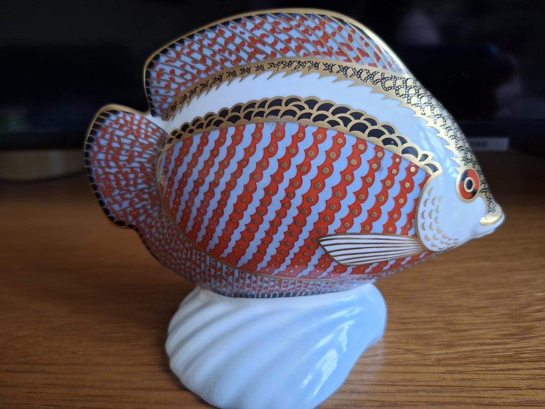 Royal Crown Derby Gourami Tropical Fish, Boxed - Etsy