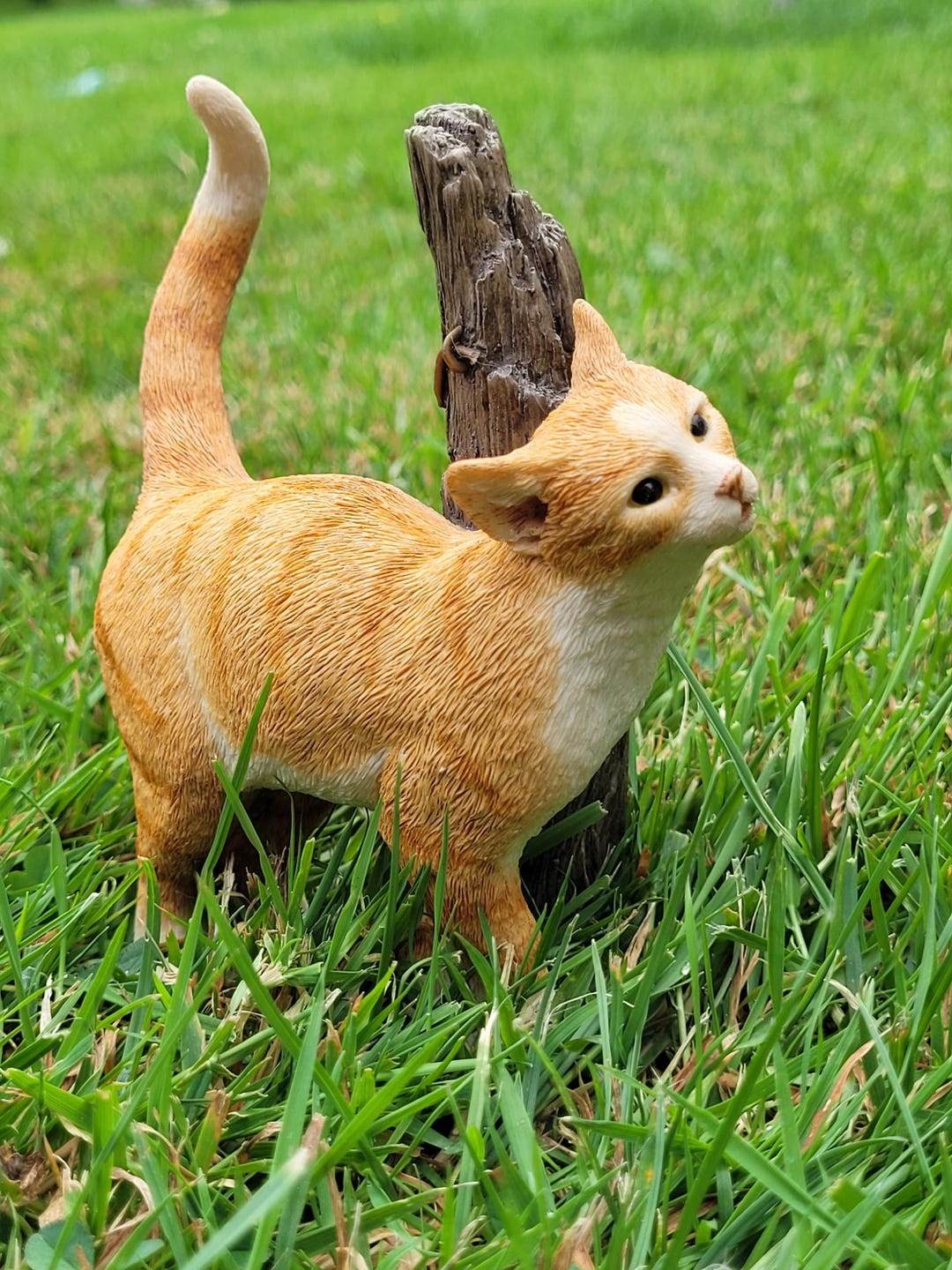 Sherratt & Simpson Cats Ginger Cat Rubbing - Etsy