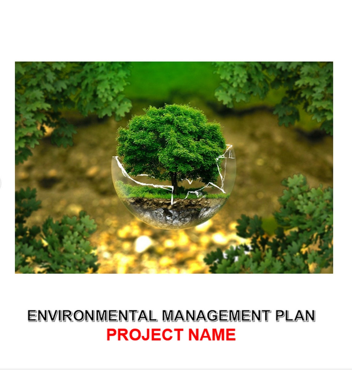 Environmental Management Plan Template, Business Document, Construction ...