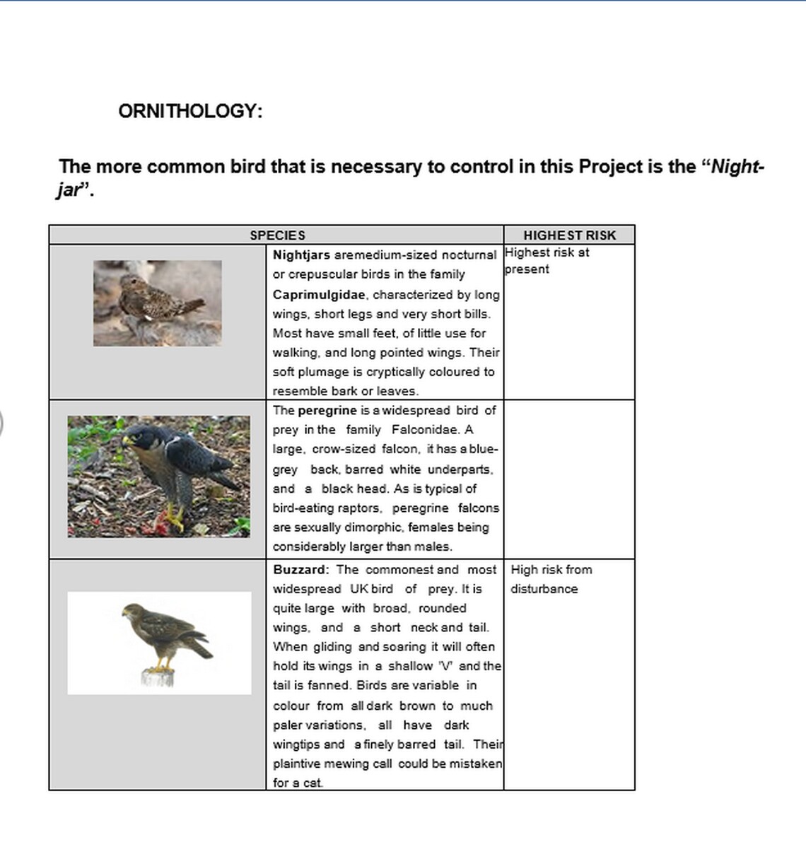 Environmental Management Plan Template, Business Document, Construction ...