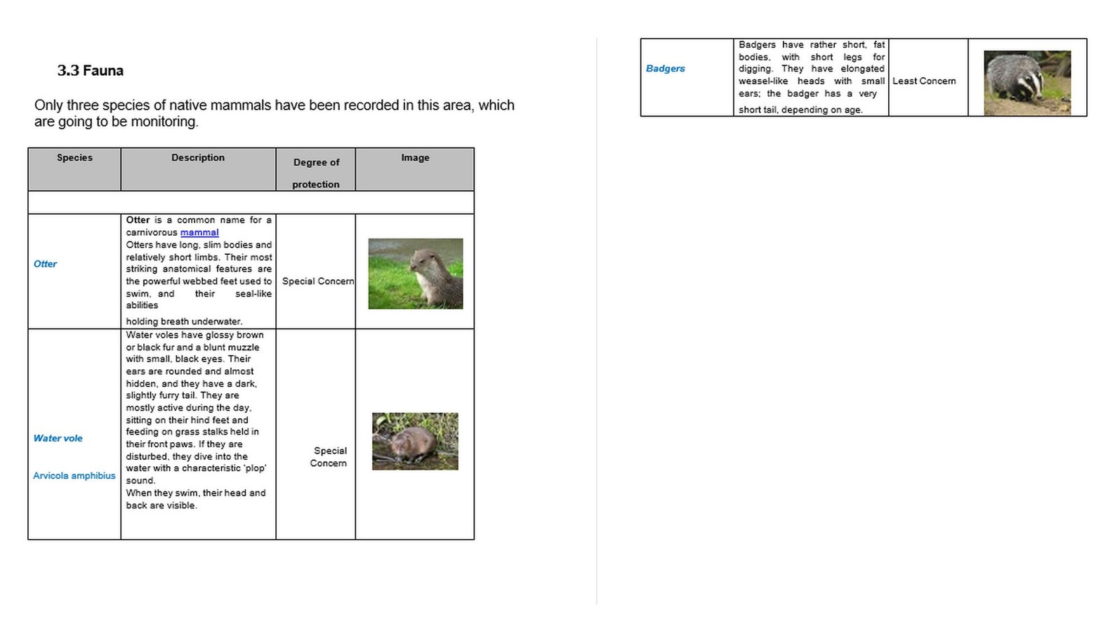 Environmental Management Plan Template, Business Document, Construction ...