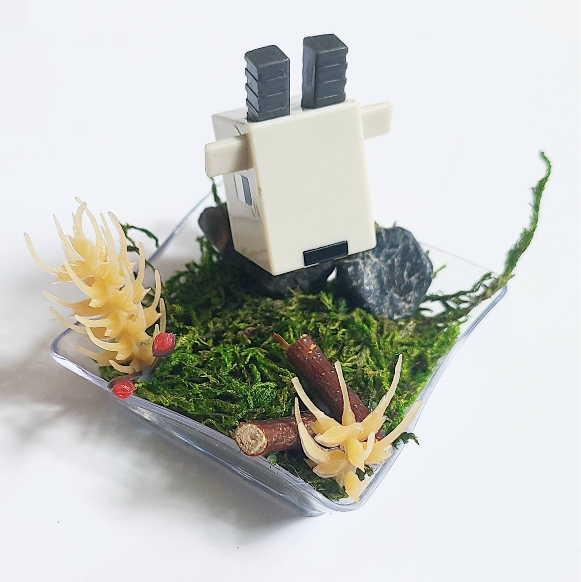 Pokemon Terrarium, Minecraft Terrarium, Gaming Decor - Etsy