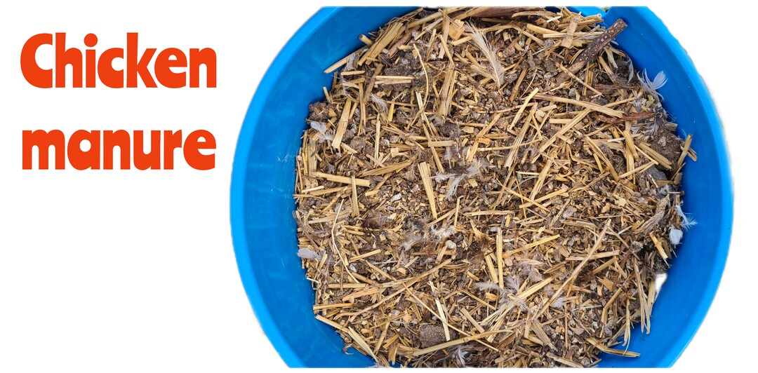 Chicken Manure, Quail Manure, Manure, Fertilizer, All Natural ...