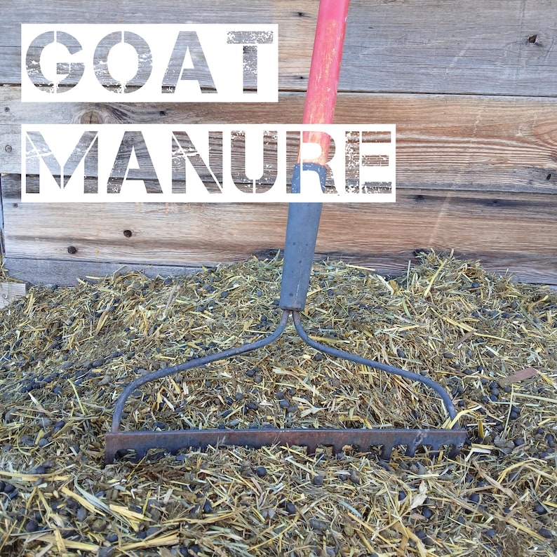 Goat Manure, 1lb Fresh Goat Manure, Fertilizer, All Natural Fertilizer ...