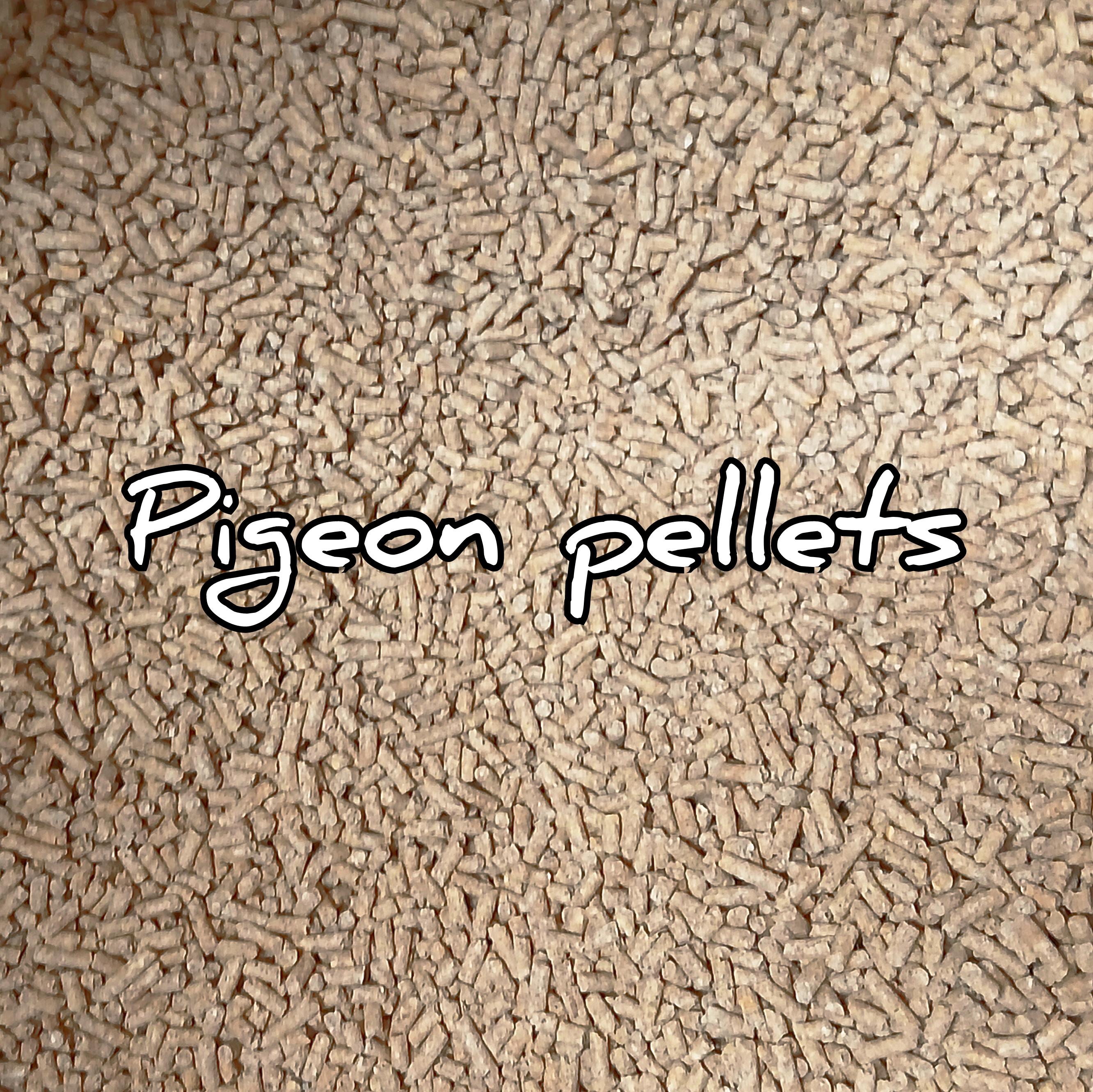 Pigeon Pellets, Pigeon Feed, Bird Feed, Bird Pellets, Pigeon - Etsy