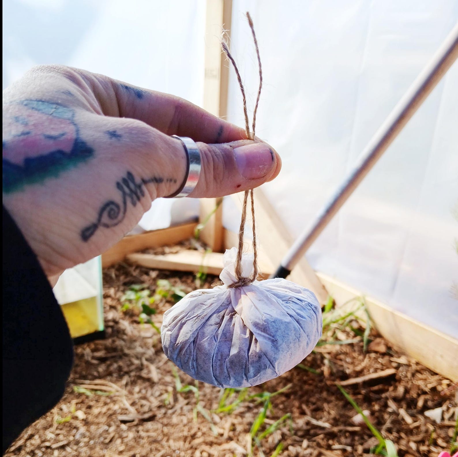 Chicken Manure Tea Bags, Quail Manure, Manure, Fertilizer, All Natural ...