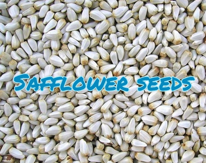 Safflower Seeds, Bird Seeds, Wildbird Seeds, Bird Treats, Rabbit ...
