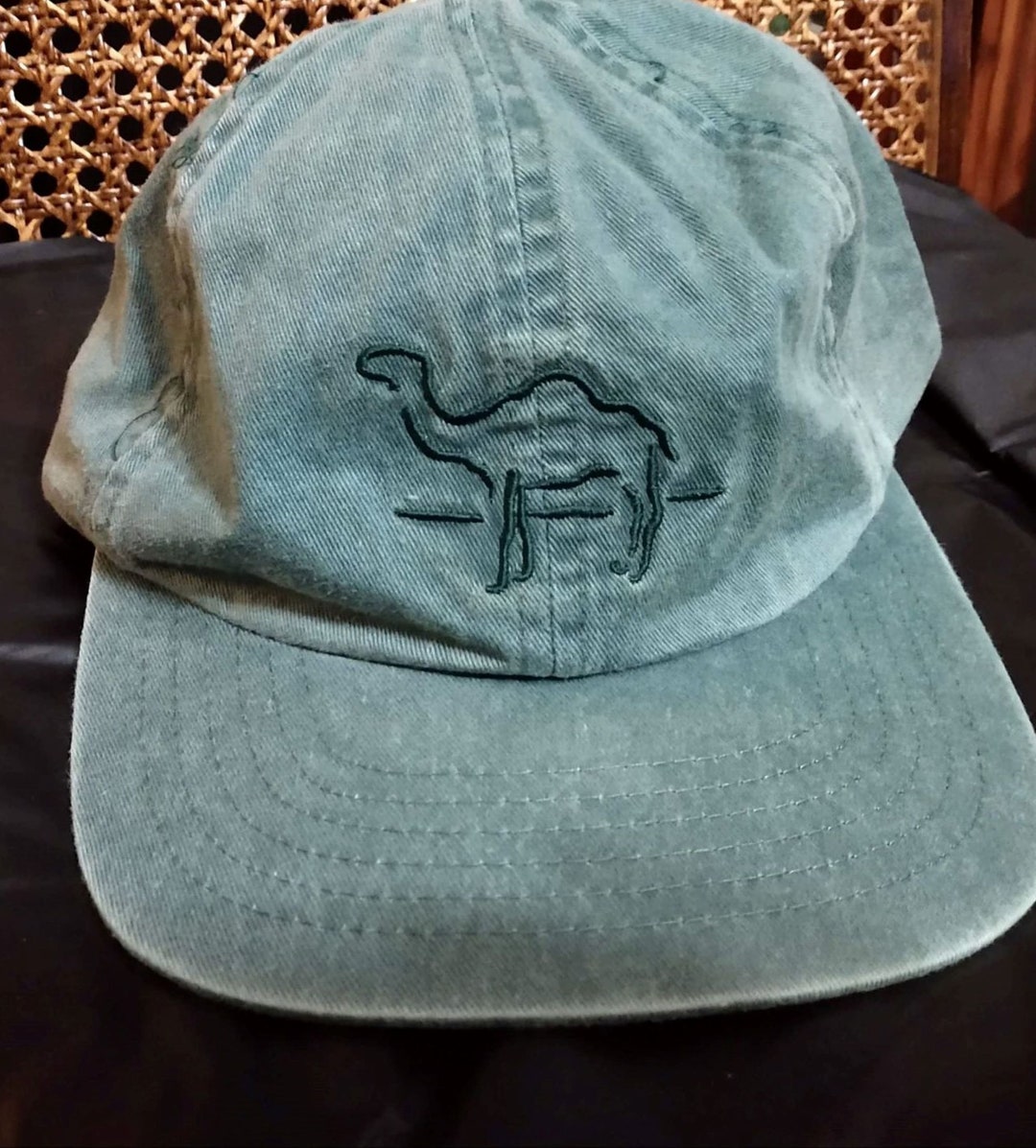 Camel Baseball Cap - Etsy