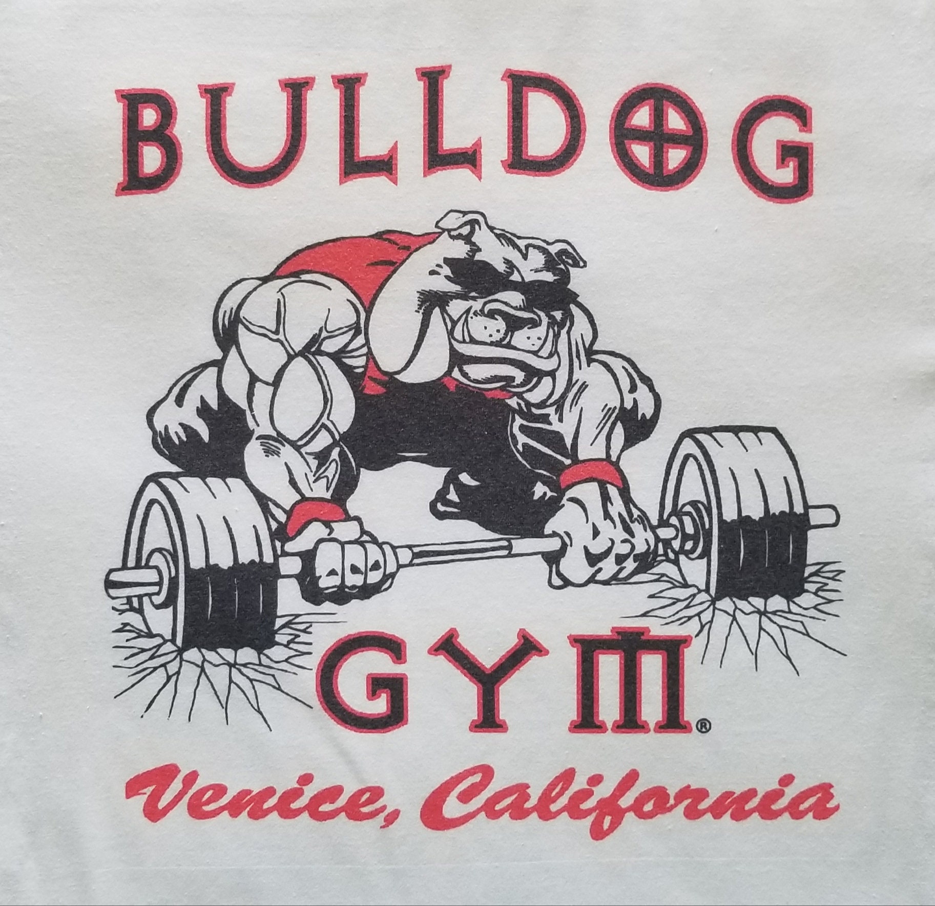 Bulldog Gym Venice California Muscle Bodybuilding Workout Exercise ...