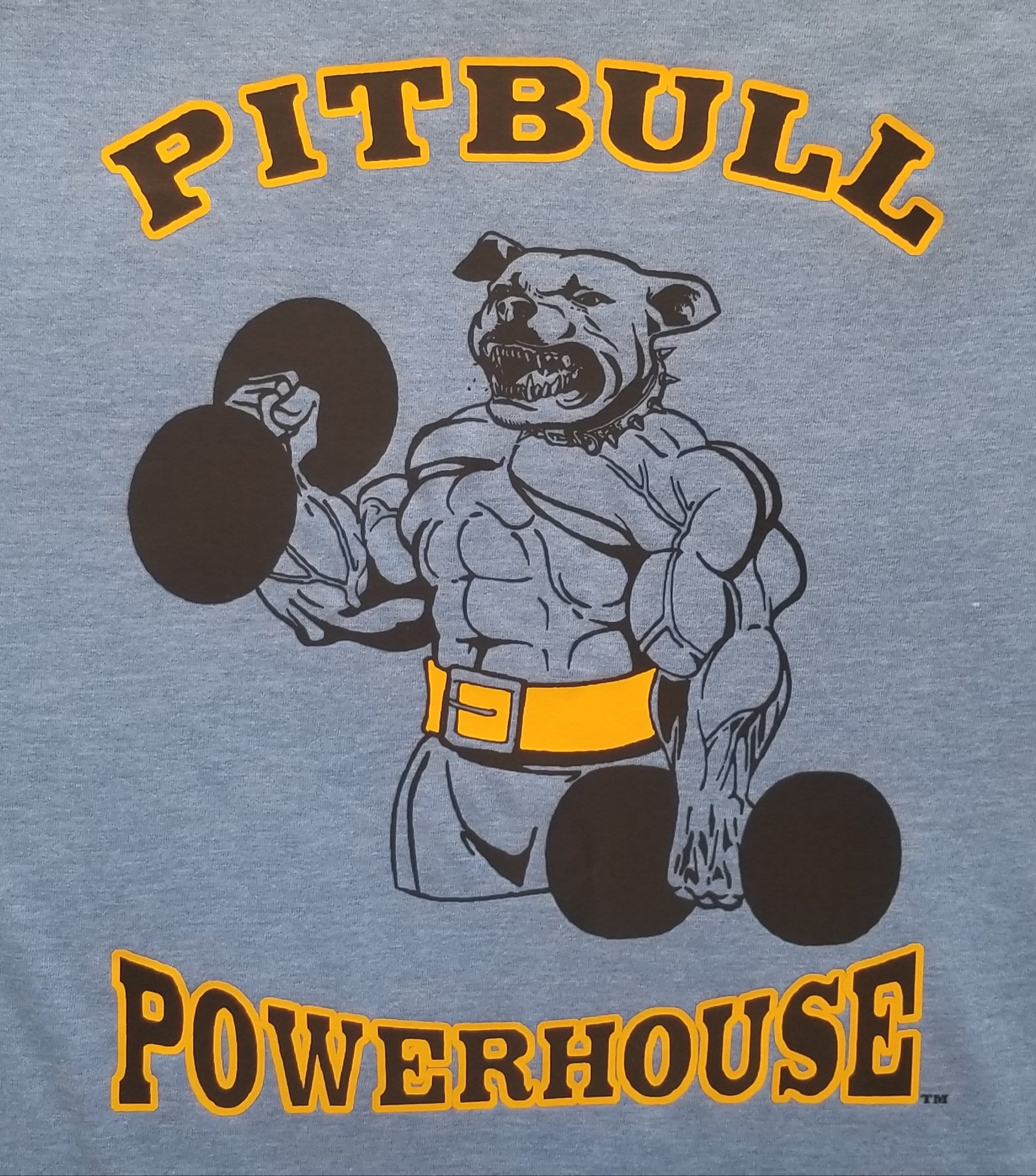 Pitbull Powerhouse Old School Bodybuilding Vintage Logo Workout Muscle ...