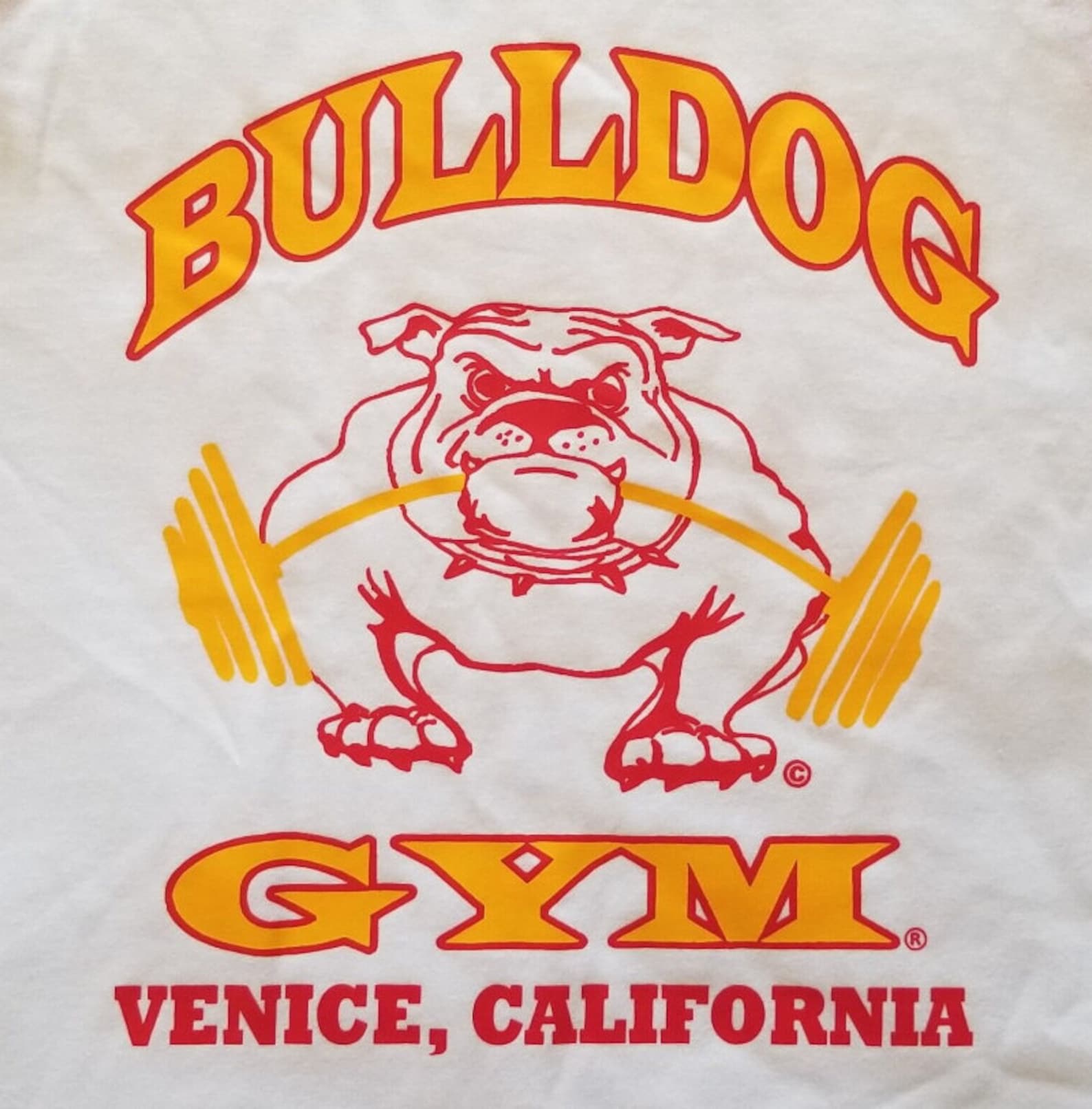 Bulldog Gym Venice California Bodybuilding Workout Exercise Vintage ...