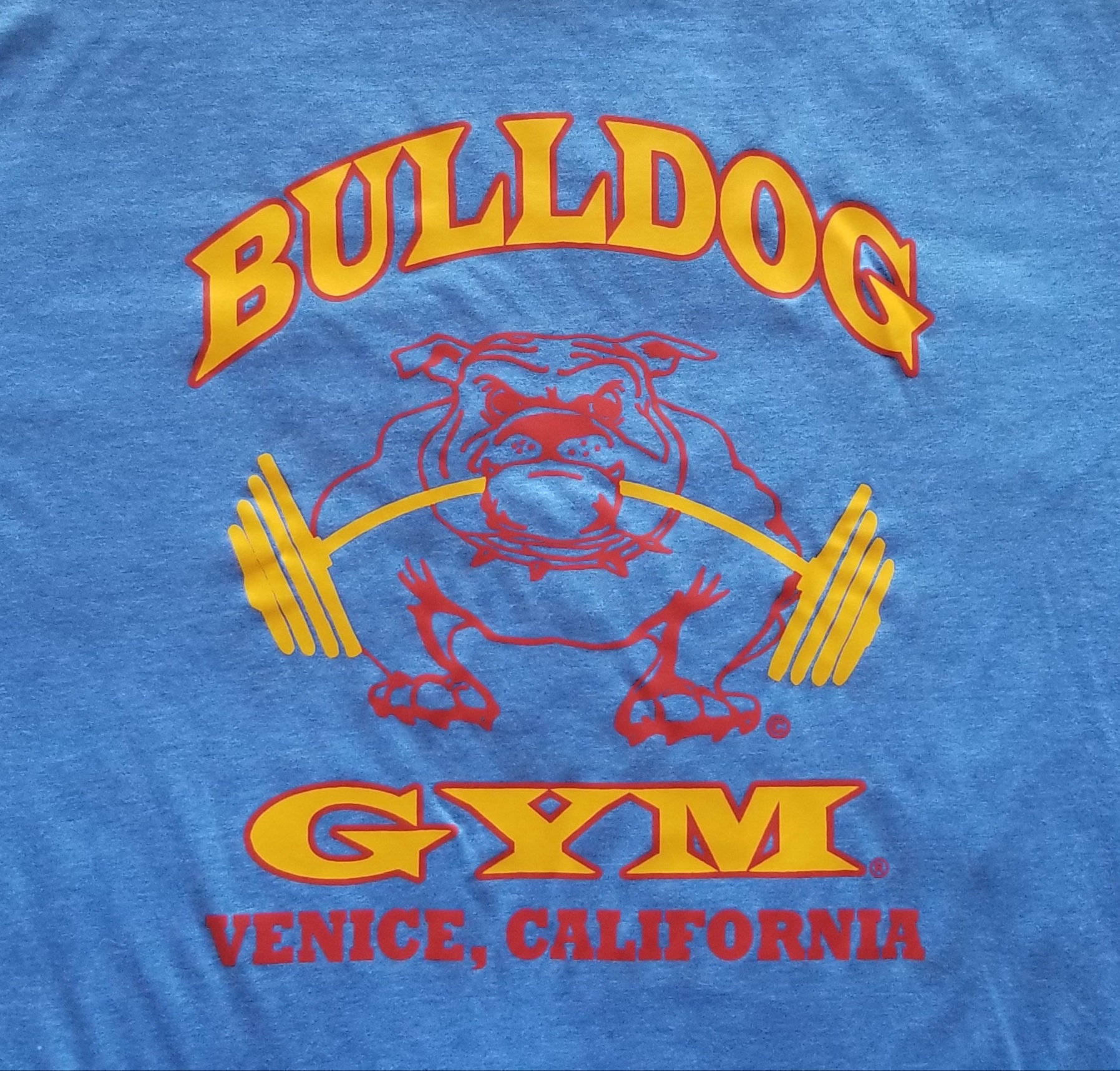 BULLDOG GYM Venice California Old School Bodybuilding Vintage Original ...