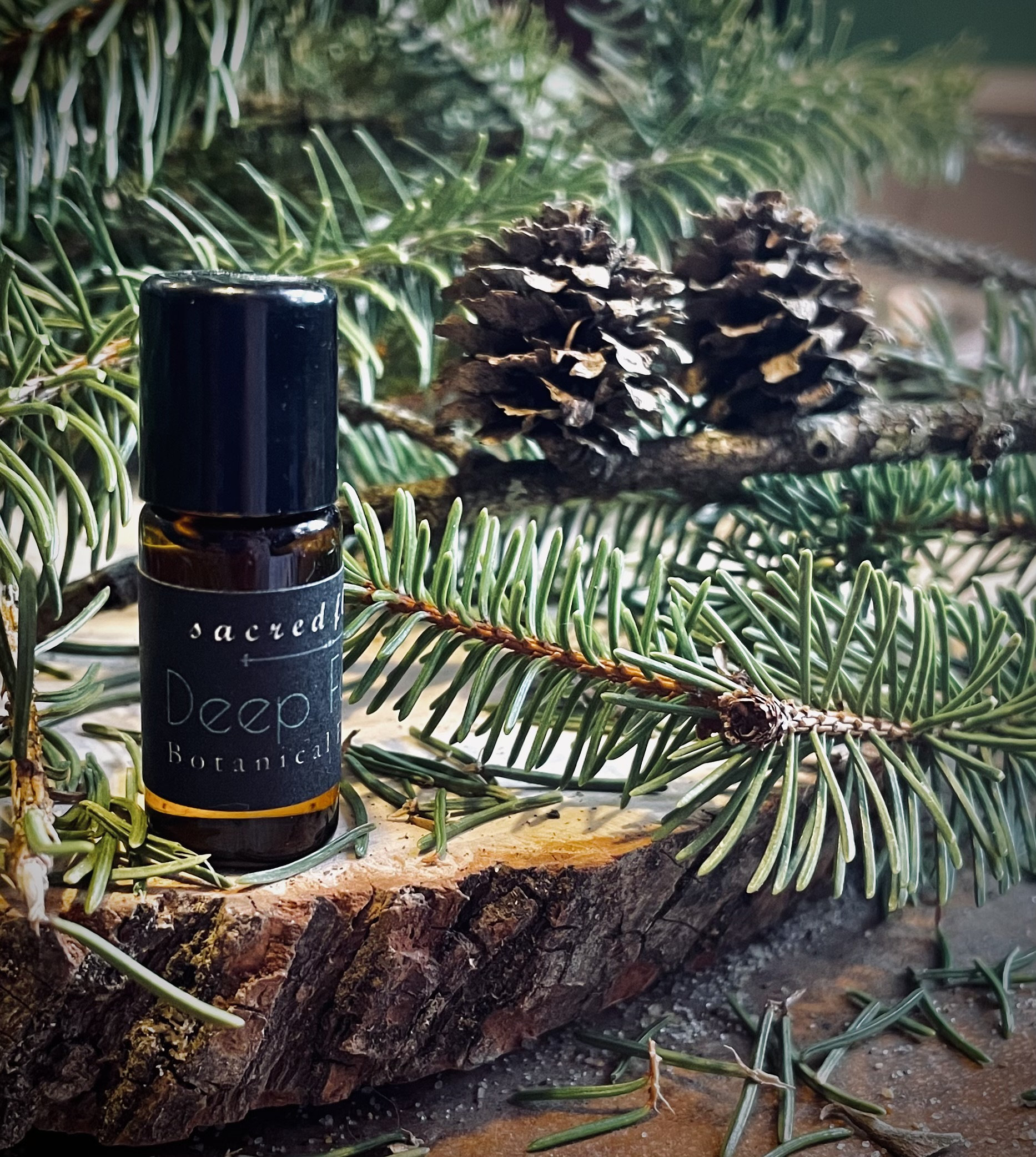 Deep Forest Cologne -like Hiking Through a Pine Forest. Refreshing ...