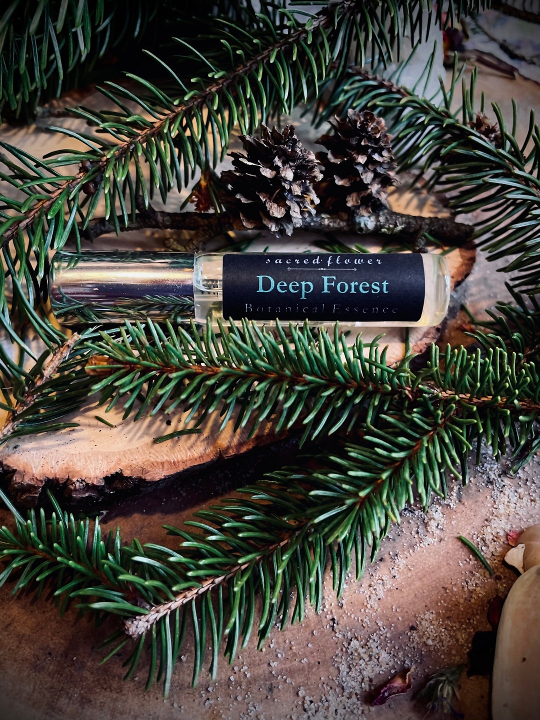 Deep Forest Cologne -like Hiking Through a Pine Forest. Refreshing ...