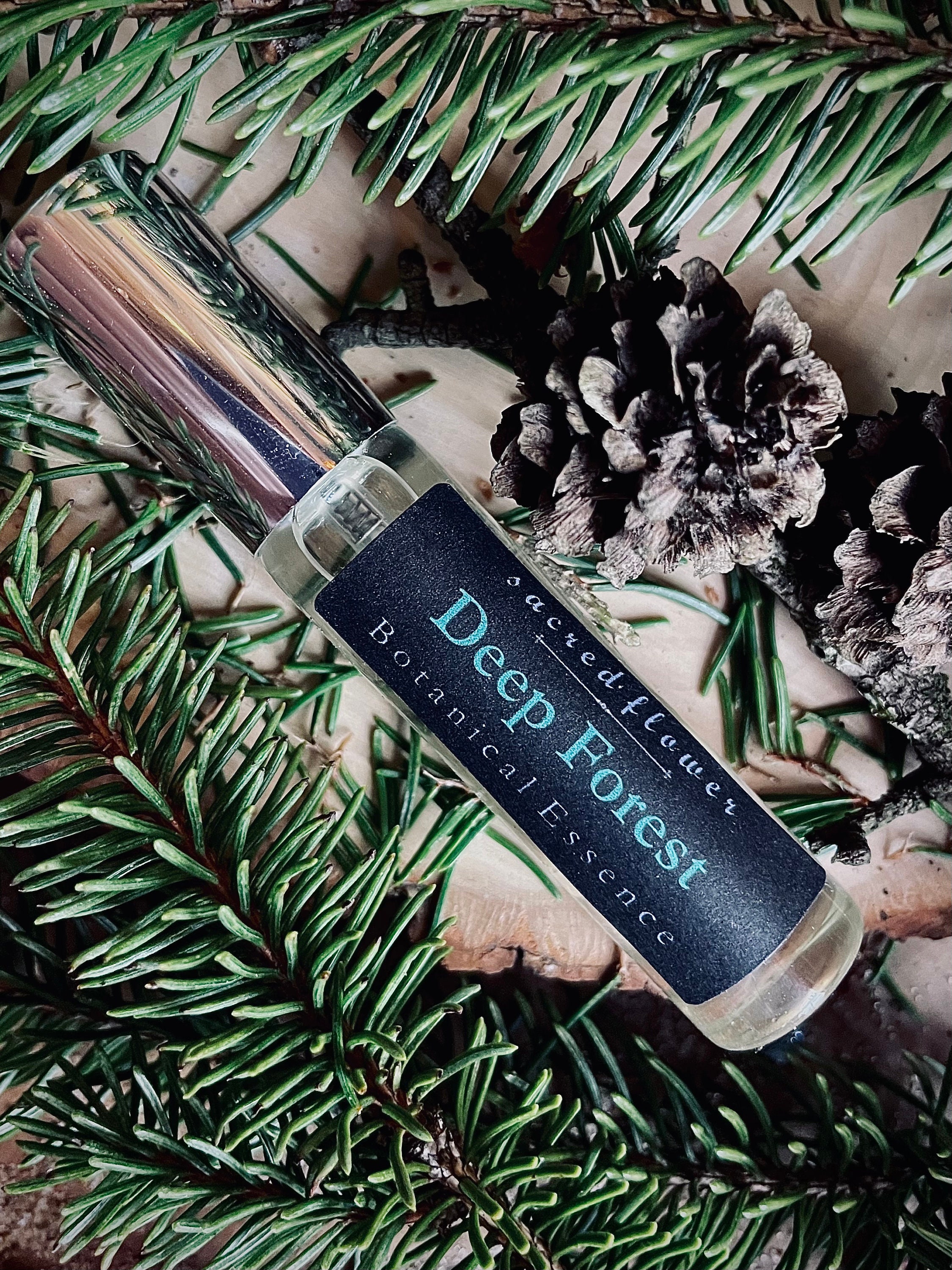 Deep Forest Cologne -like Hiking Through a Pine Forest. Refreshing ...