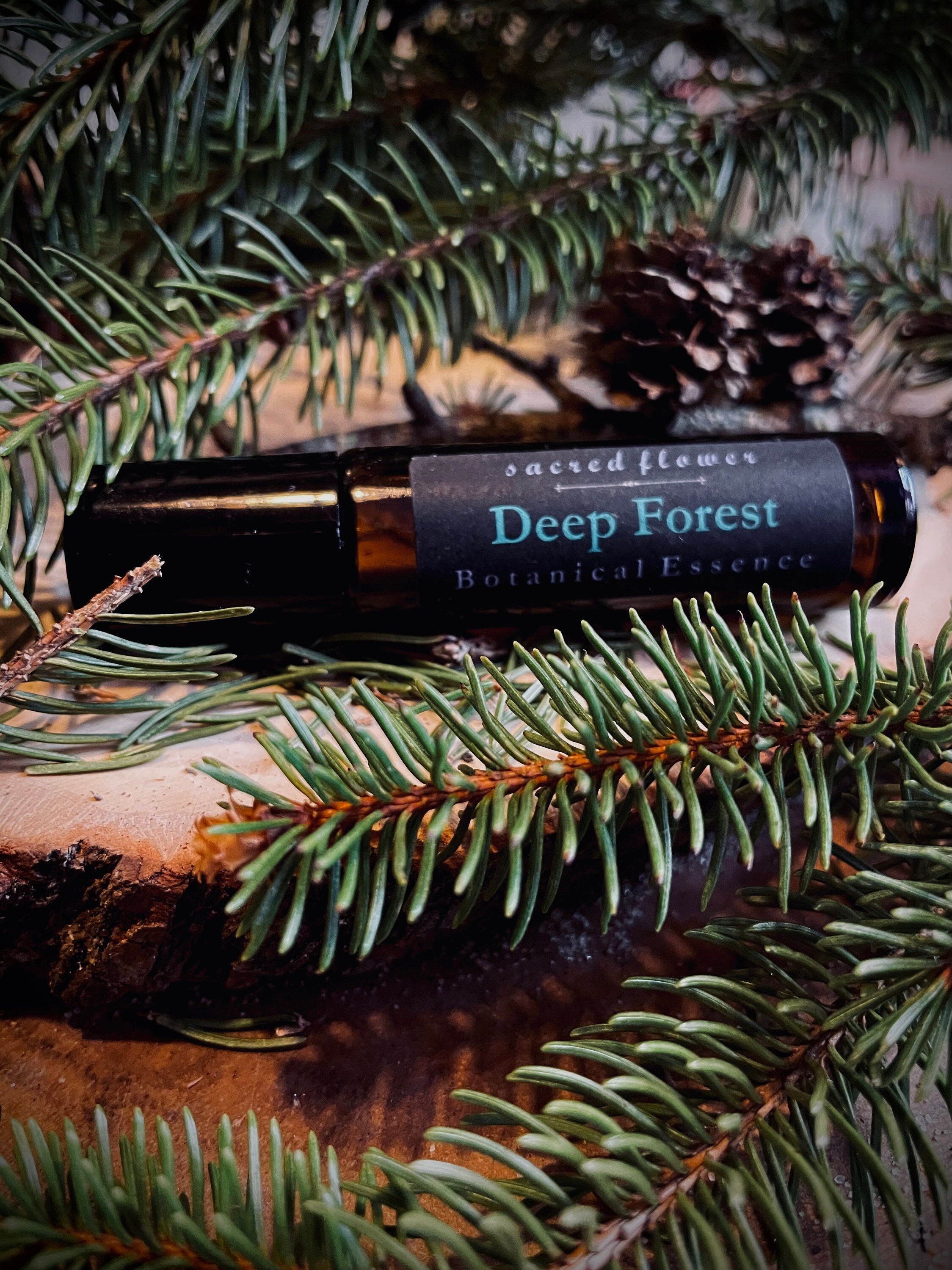 Deep Forest Cologne -like Hiking Through a Pine Forest. Refreshing ...