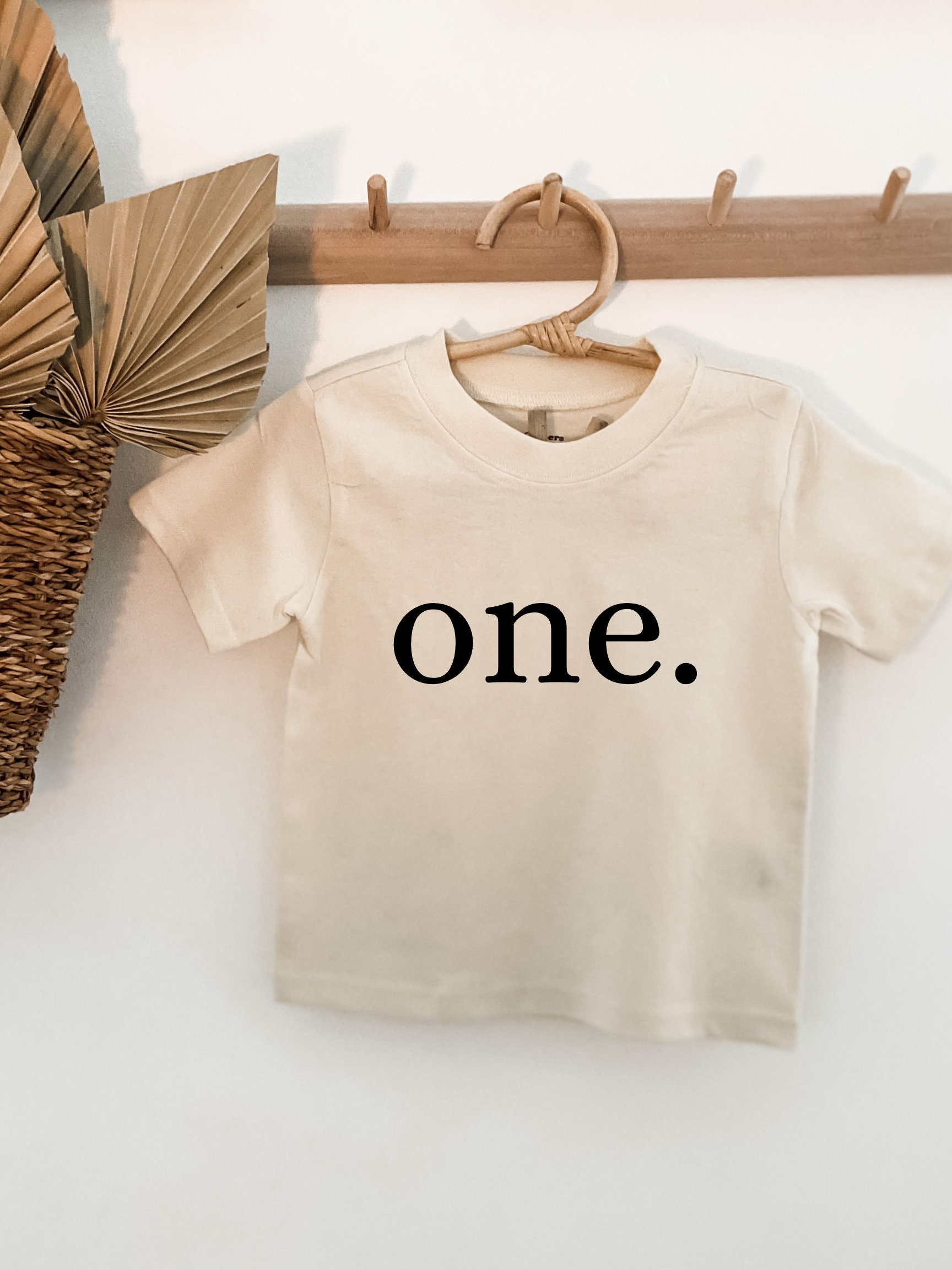 ONE Shirt for First Birthday Party, Turning One Year Old, the Big One ...