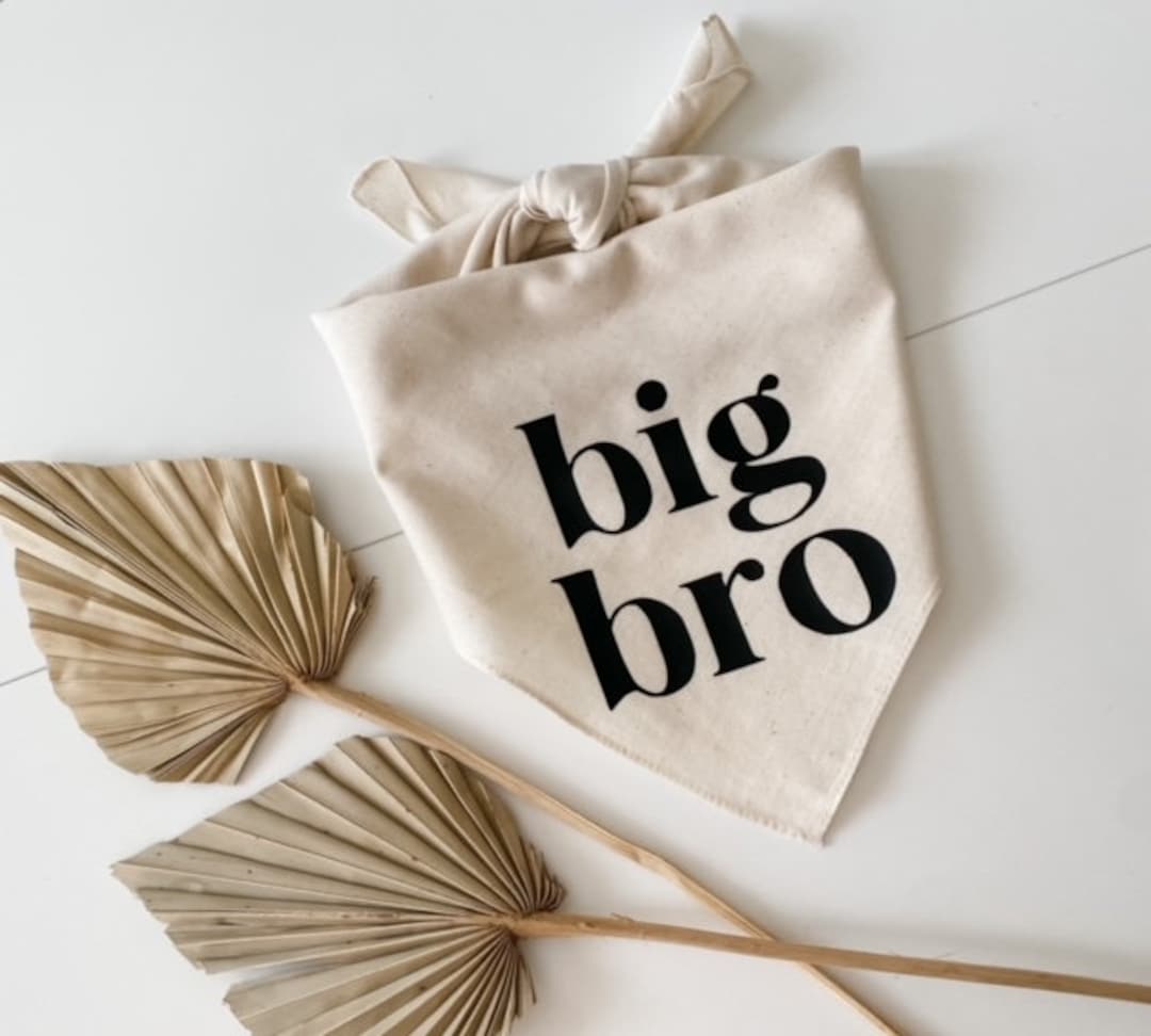 Big Bro Dog Bandana for Baby Announcement, Gender Reveal, Idea to ...