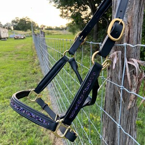 Custom Leather Horse Halter With Crystal Beads – Personalized ...