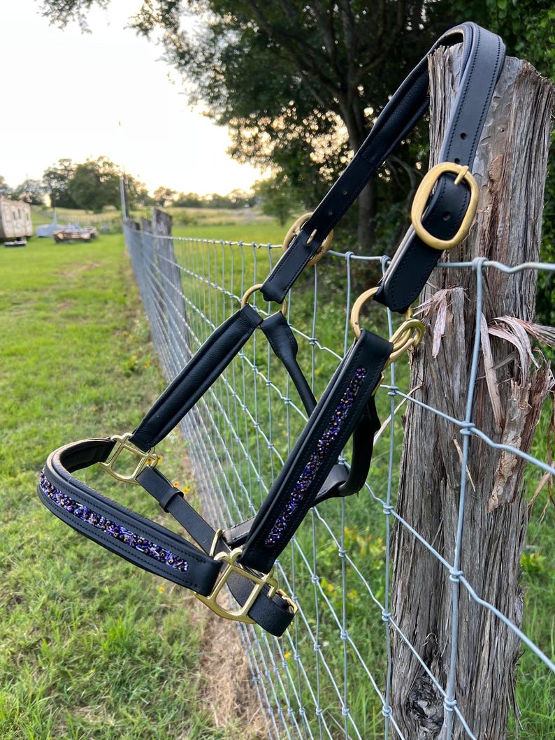 Custom Leather Horse Halter With Crystal Beads – Personalized ...