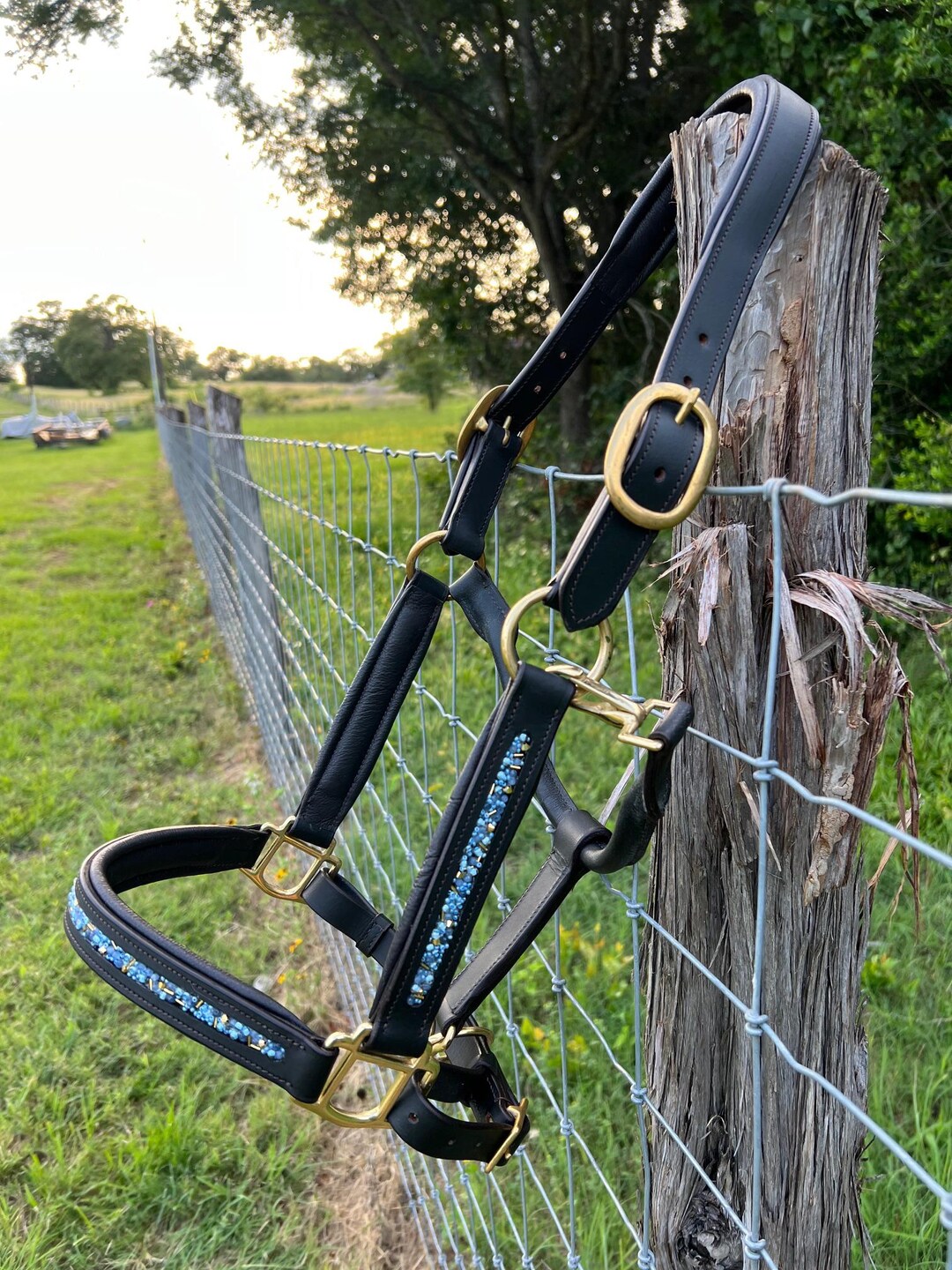 Custom Leather Horse Halter With Crystal Beads – Personalized ...