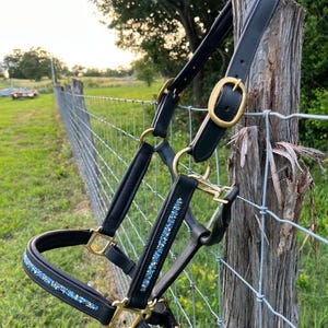 Custom Leather Horse Halter With Crystal Beads – Personalized ...