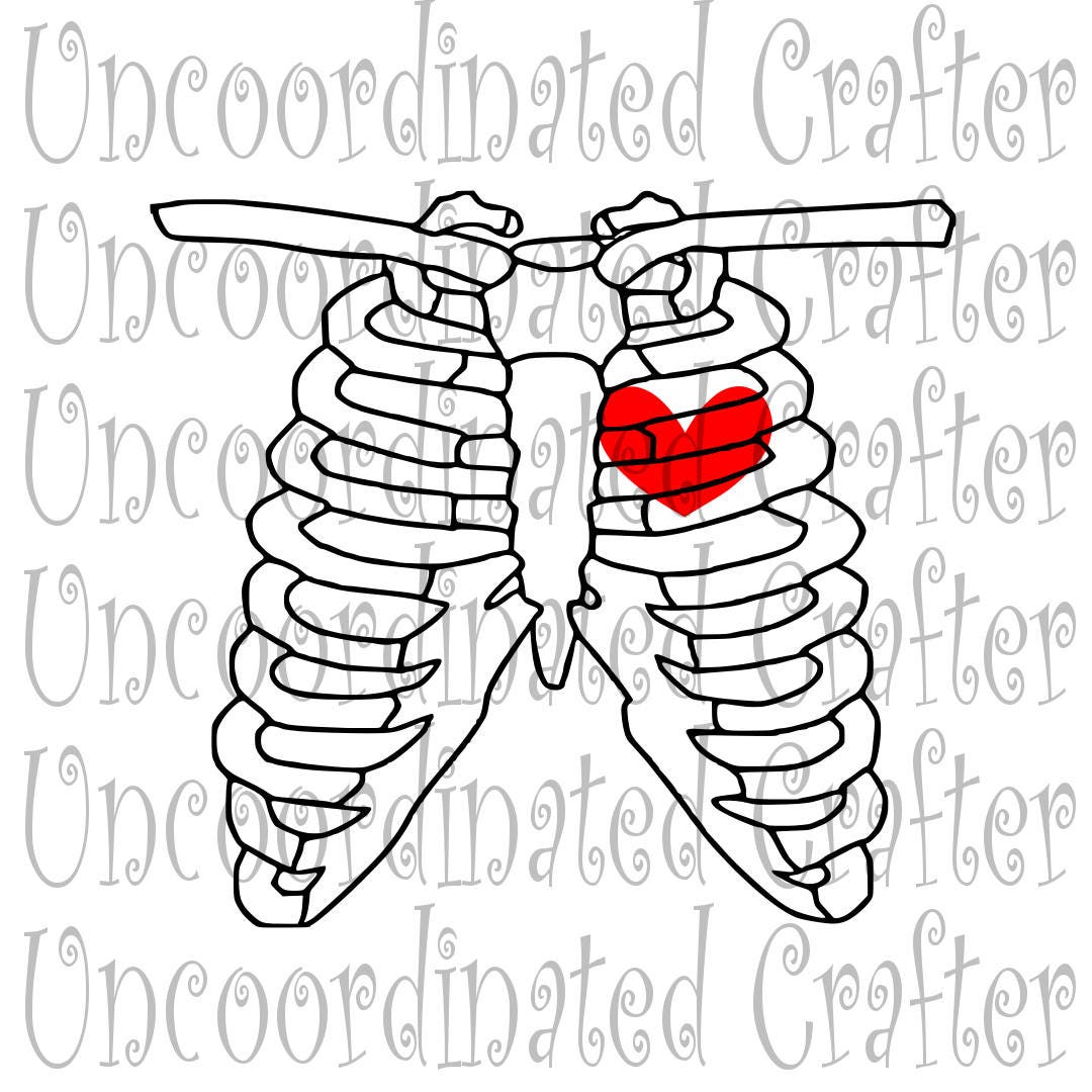 Chest Xray Svg/ Radiology Svg// Radiologist Svg// Rad Tech - Etsy