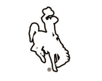 3 University of Wyoming Decal UW Steamboat Sticker - Etsy