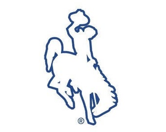 Uw Cowboys Decal - Etsy