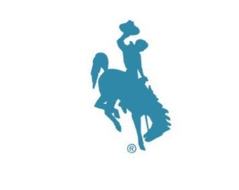 Wyoming Steamboat Decal - Etsy