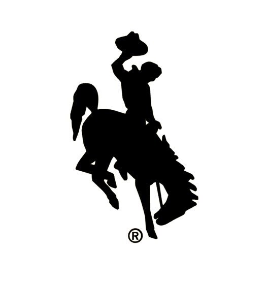 4 University of Wyoming Decal Black UW Steamboat - Etsy