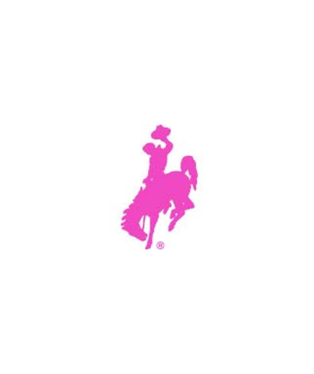 4 University of Wyoming Decal Hot Pink UW Steamboat - Etsy