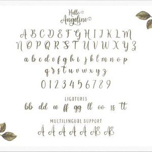 Hello Angeline - Calligraphy Font, Script Font, Cricut Font Svg ...