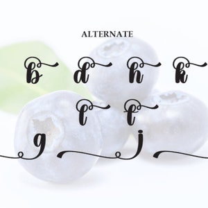 Blueberry - Calligraphy Font, Script Font, Cricut Font Svg, Cursive ...