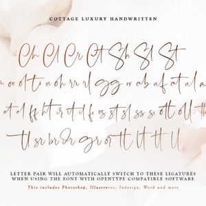 Cottage Calligraphy Font, Script Font, Cricut Font Svg, Cursive Font, Procreate Font, Wedding ...