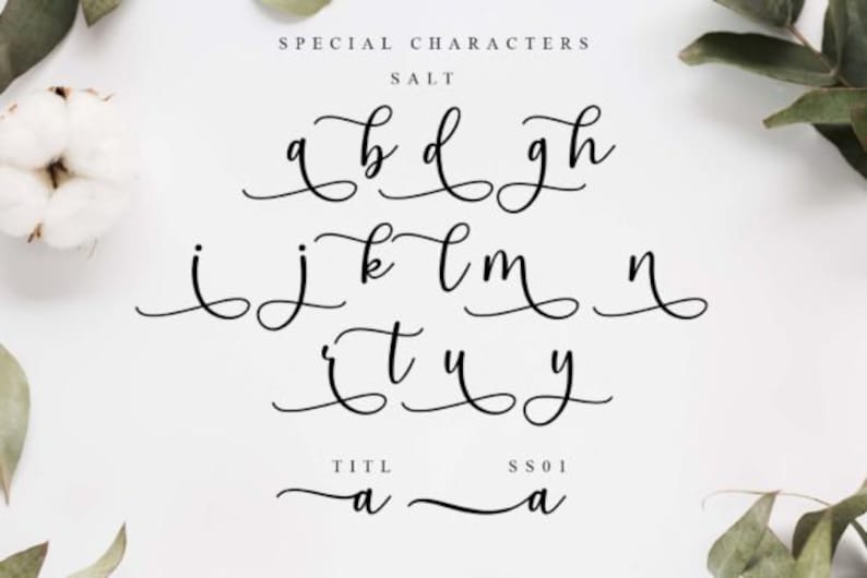 Nagita Calligraphy Font, Script Font, Cricut Font Svg, Cursive Font ...