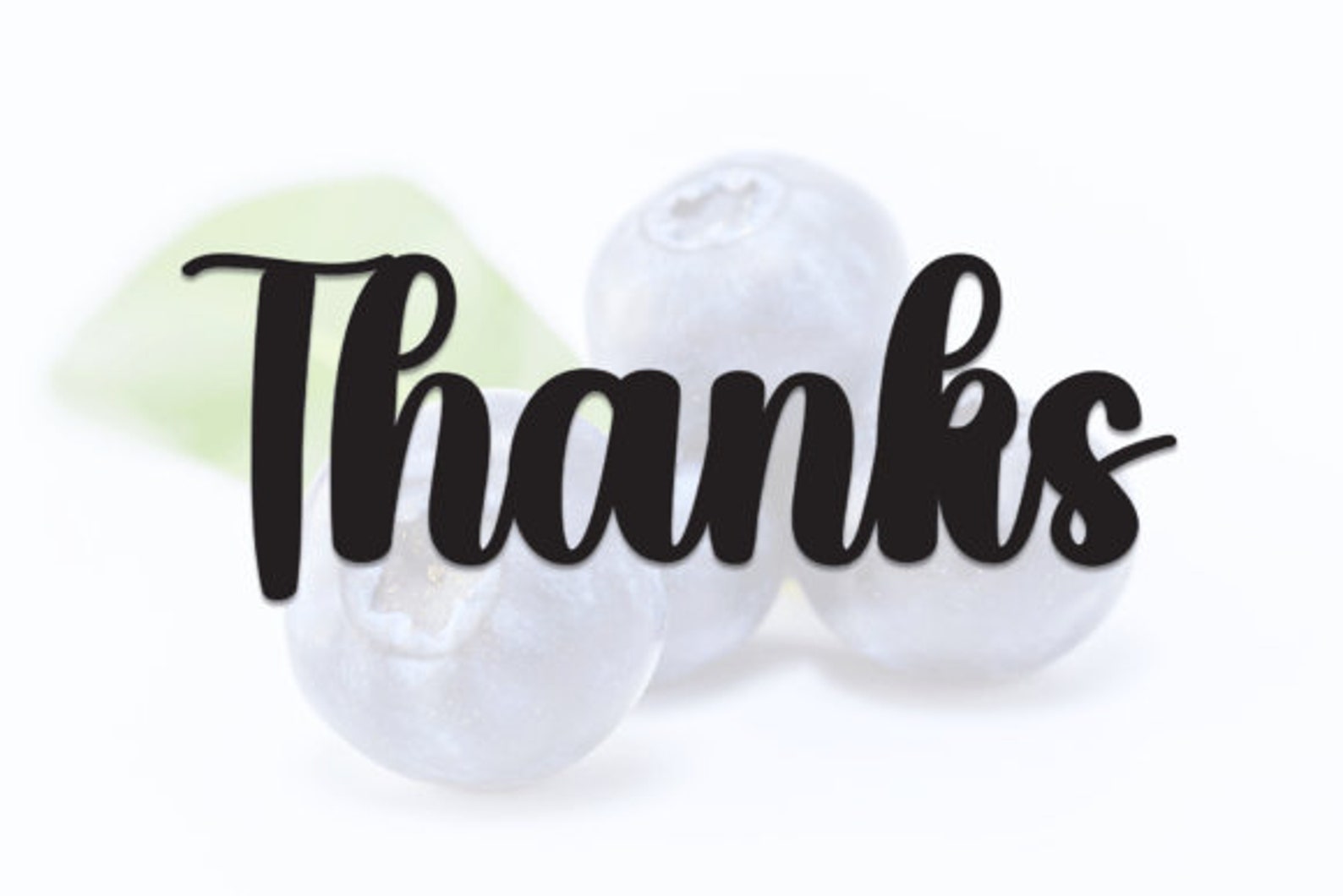 Blueberry - Calligraphy Font, Script Font, Cricut Font Svg, Cursive ...