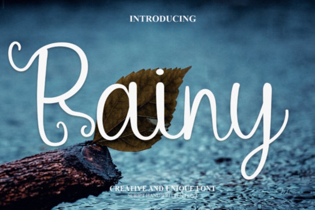 Rainy - Calligraphy Font, Script Font, Cricut Font Svg, Cursive Font ...