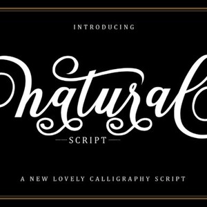 Natural Script - Calligraphy Font, Script Font, Cricut Font Svg, Cursive Font, Procreate Font ...