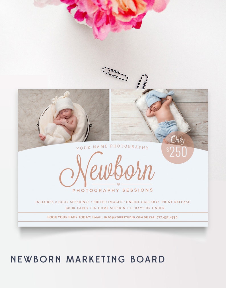Photography Marketing Board Newborn Mini Sessions Photoshop - Etsy