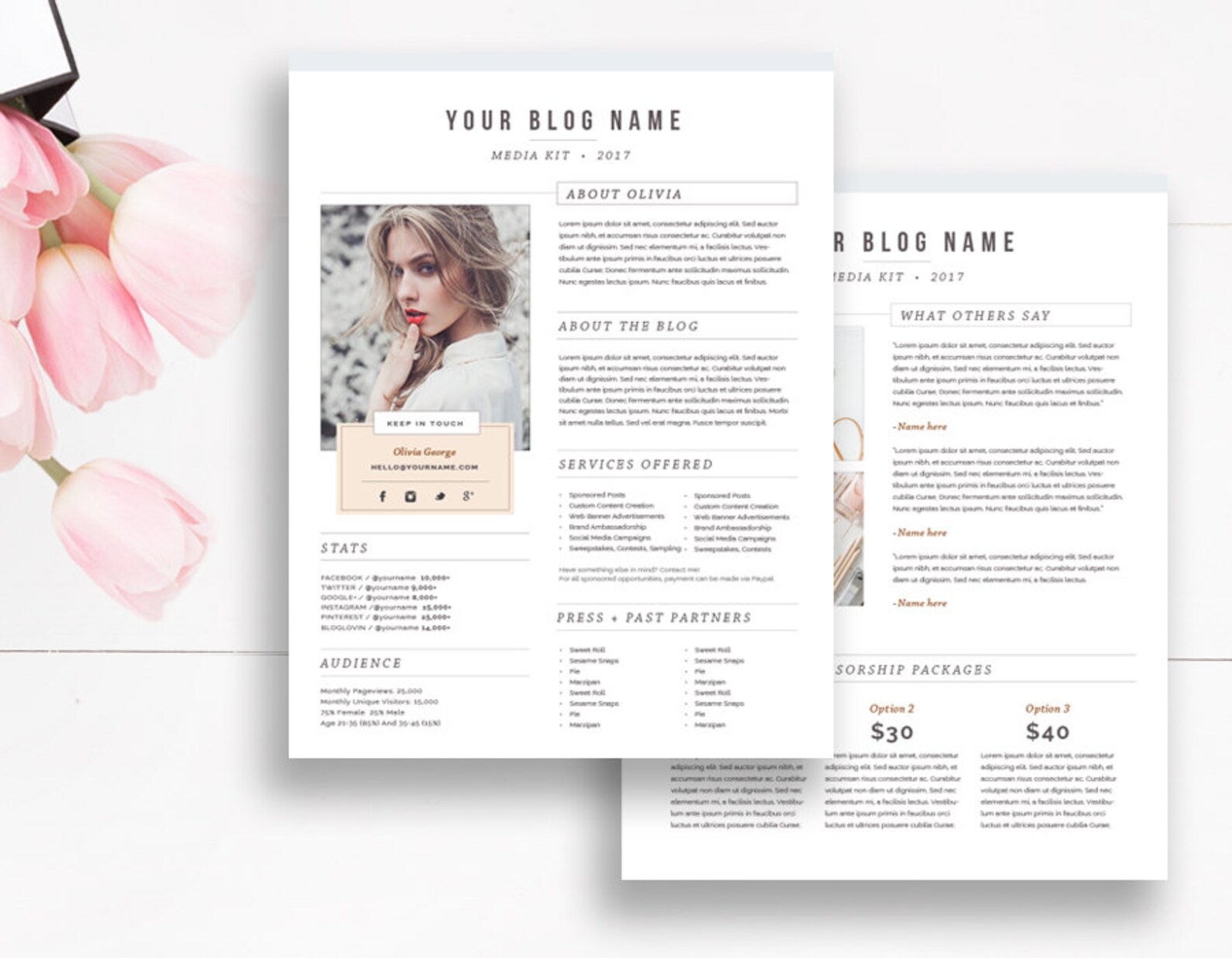 Media Kit Template 2 Page Blogger Media Kit Media Press Kit - Etsy