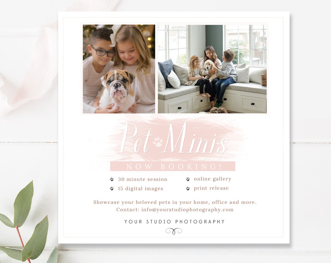 Pet Mini Session Template, Pets Mini Sessions, Animal Mini Sessions ...
