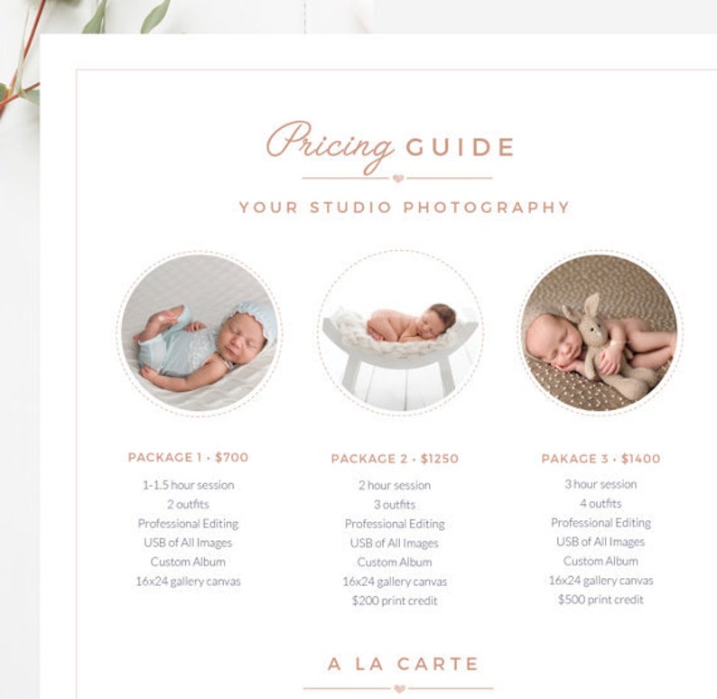 Newborn Pricing Template Photography Pricing Guide Indesign - Etsy Newborn Pricing Template Photography Pricing Guide Indesign - Etsy