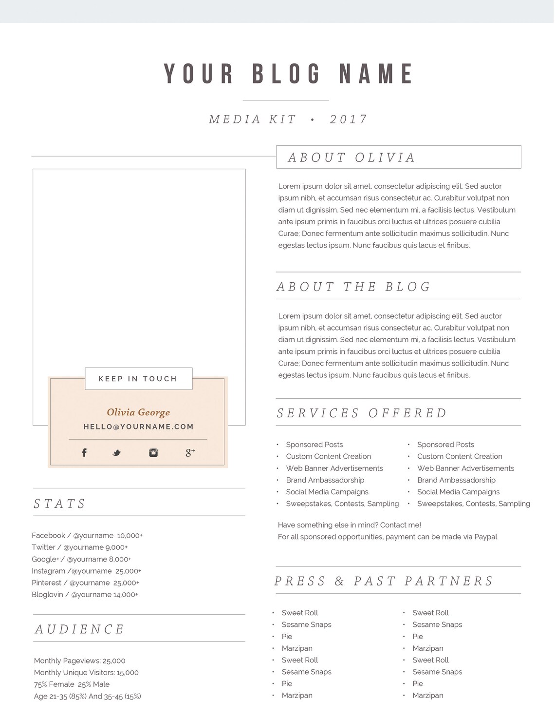 Media Kit Template 2 Page Blogger Media Kit Media Press Kit - Etsy