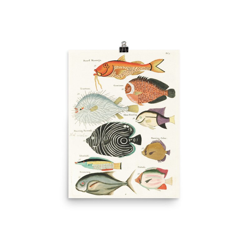 Vintage Fish Painting (PRINT) | Ocean Wall Art | Coastal Decor | Beach ...