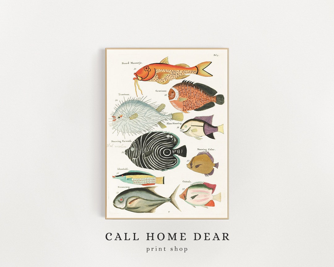 Vintage Fish Painting (PRINT) | Ocean Wall Art | Coastal Decor | Beach ...