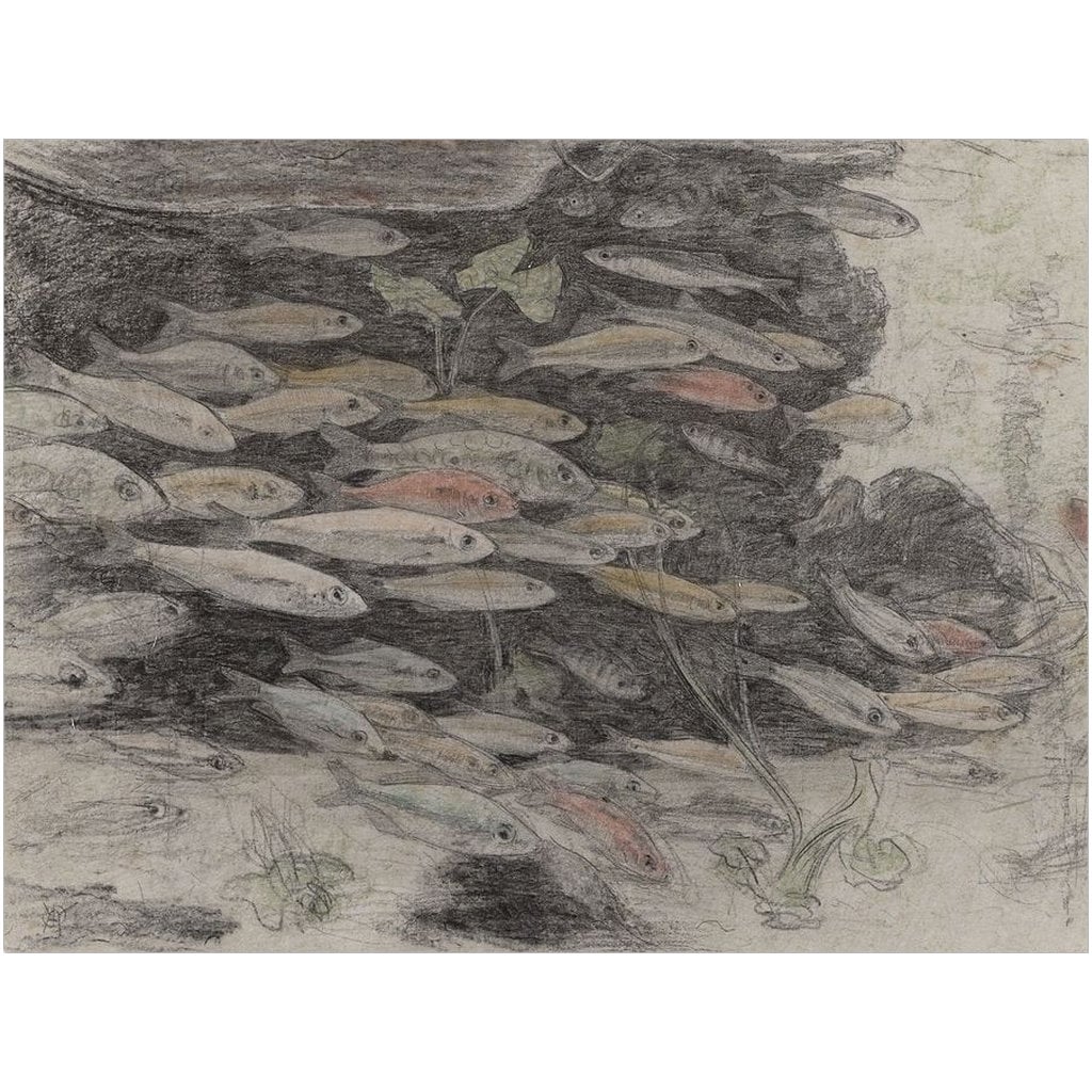 Vintage Fish Painting (PRINT) | Ocean Painting | Coastal Wall Art ...