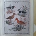 Bird, Pako Counted Cross Stitch Kit, DMC, Made in Holland - Etsy