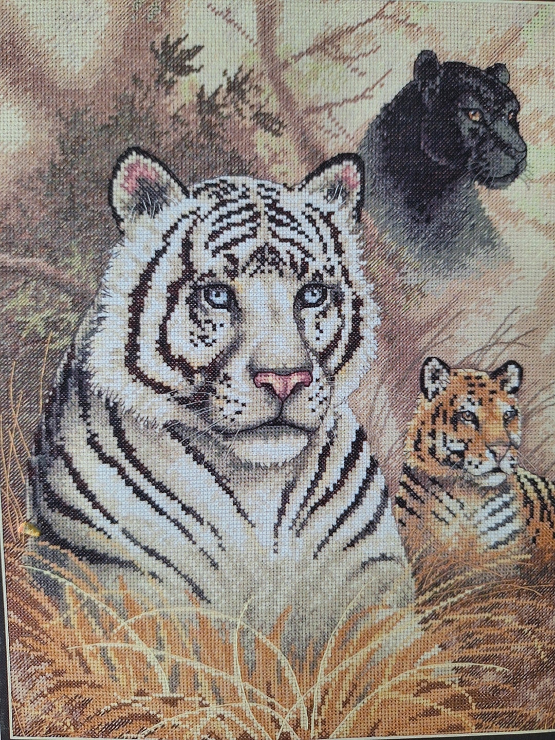 Eyes in the Wild, Dimensions Gold Collection Counted Cross Stitch Kit ...
